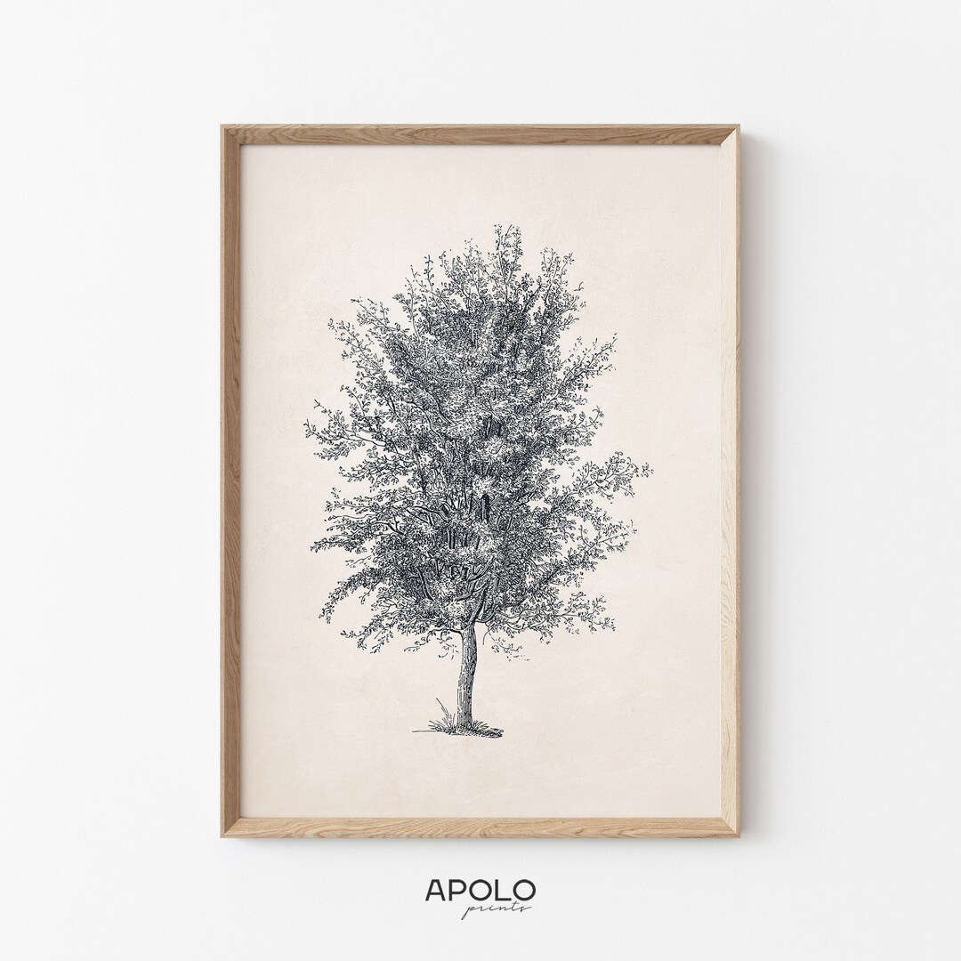 Azarole Tree Sketch Print Printable Tree Art Vintage Drawing - Etsy