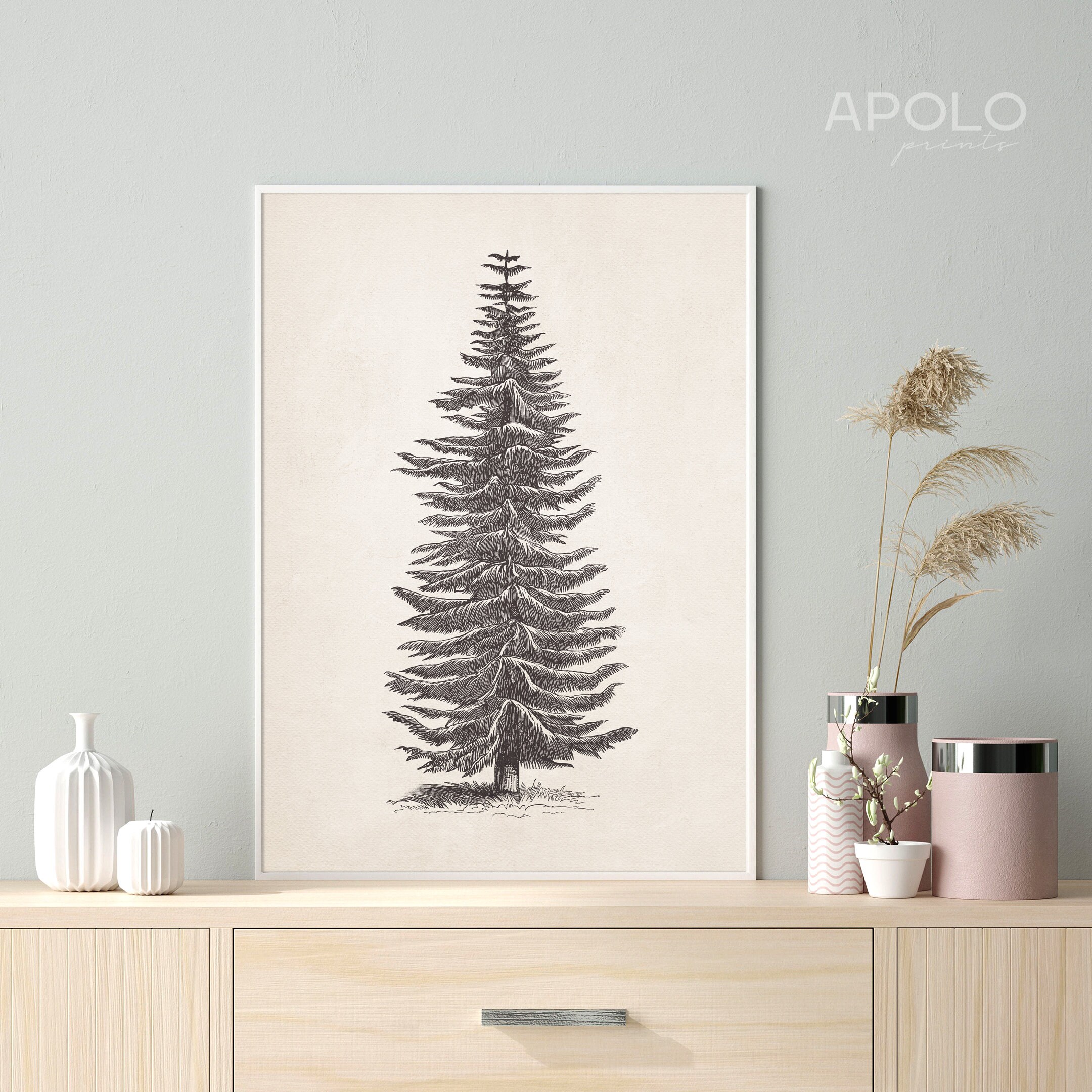 Vintage Serbian Spruce Tree Drawing: Neutral Botanical Wall Art ...