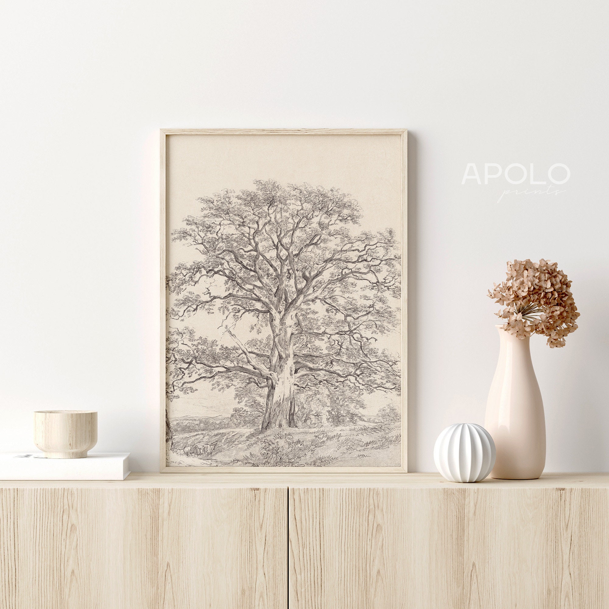 Great Oak Tree Sketch, Printable Tree Art, Vintage Drawing Enhanced ...