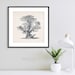 Ancient Oak Tree Sketch Print, Vintage Tree Drawing Enhanced, Digital ...