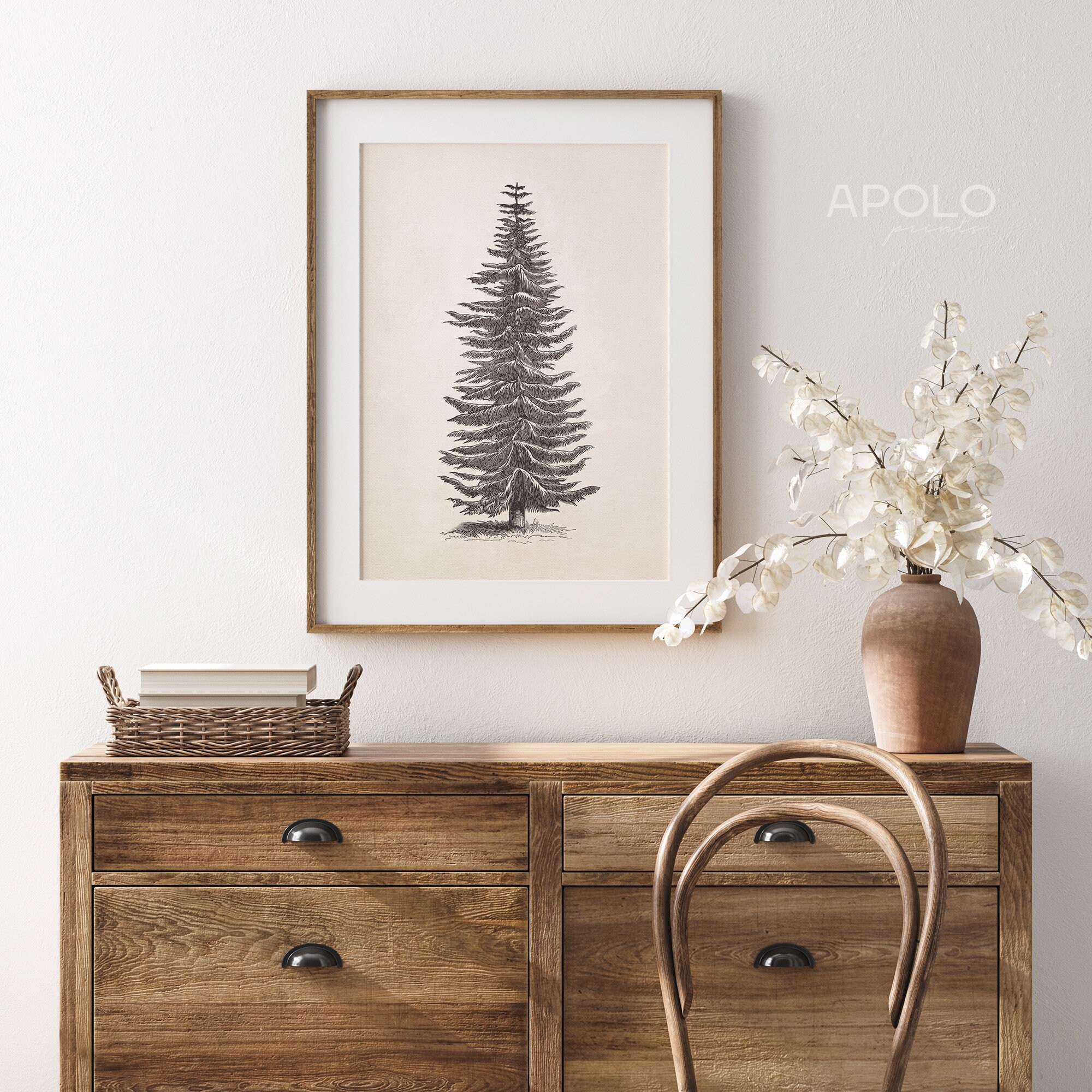 Vintage Serbian Spruce Tree Drawing: Neutral Botanical Wall Art ...