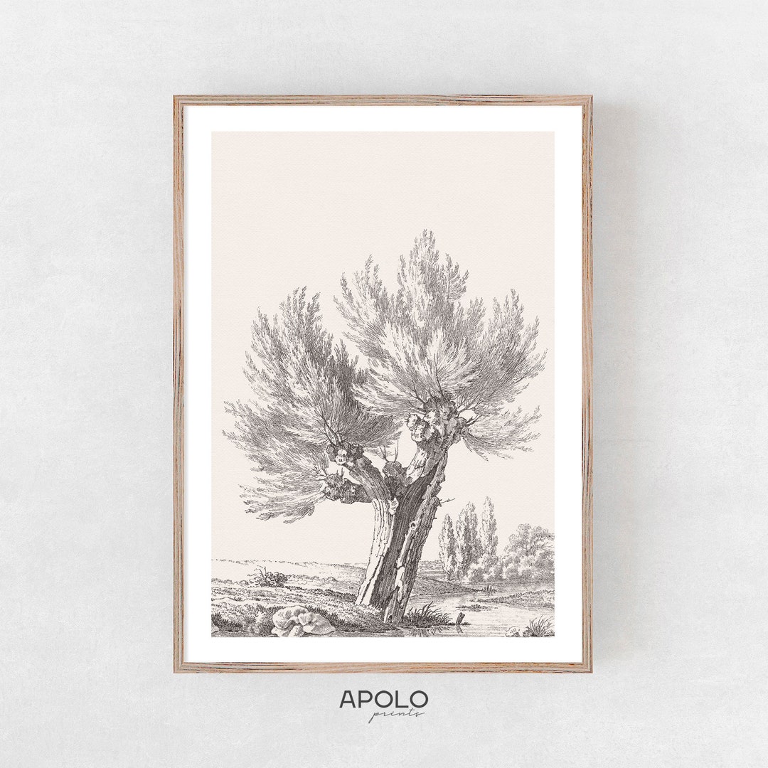 Willow Tree Print, Printable Vintage Tree Sketch Enhanced, Downloadable ...
