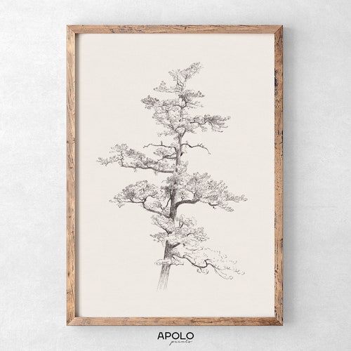 Longleaf Pine Tree Print Vintage Tree Sketch Enhanced - Etsy