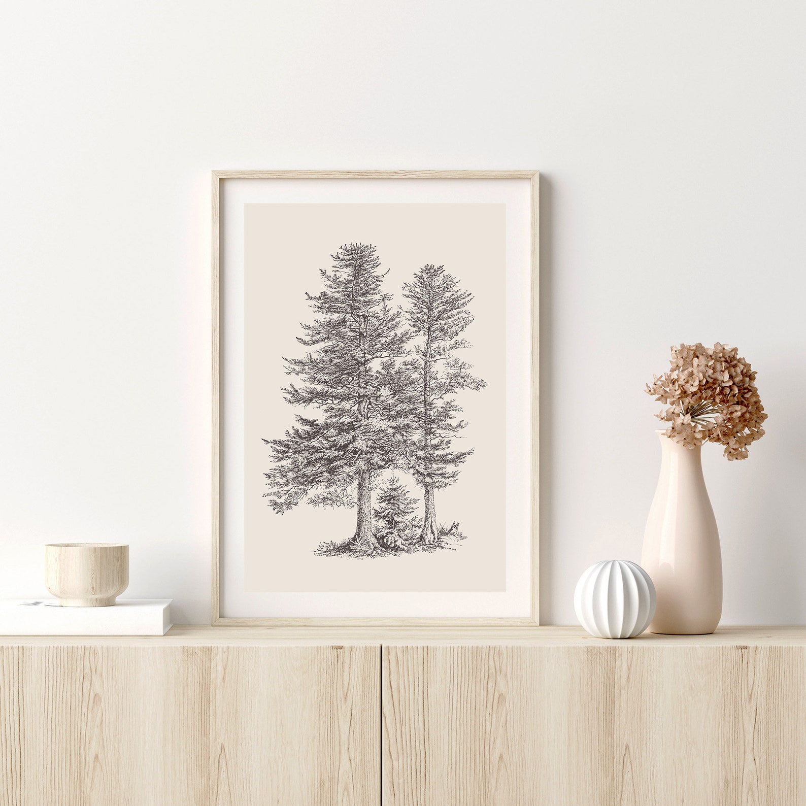 Silver Fir Tree Sketch Print Vintage Farmhouse Drawing - Etsy