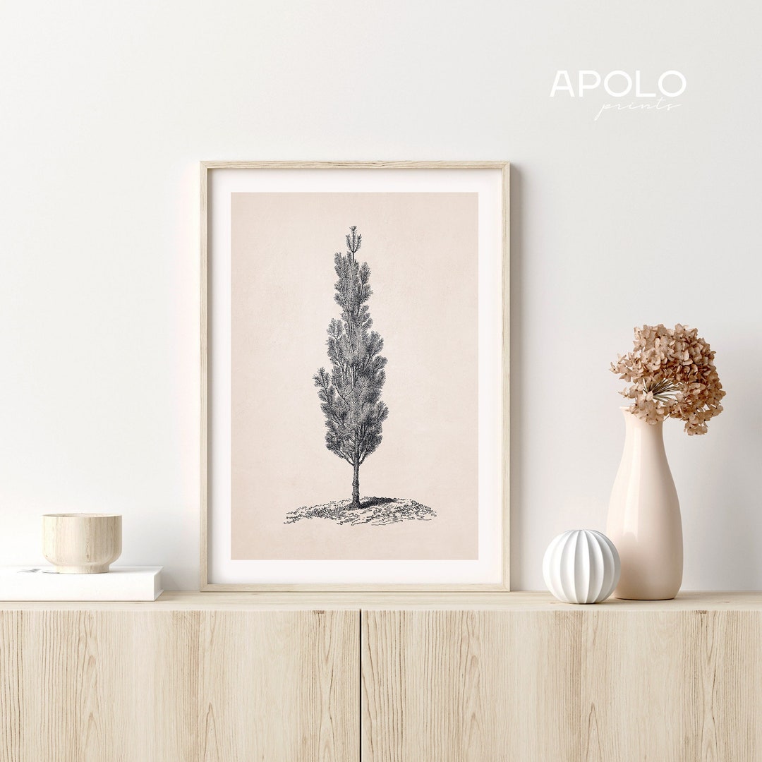 Cypress Tree Sketch Print, Printable Tree Art, Vintage Drawing Enhanced ...