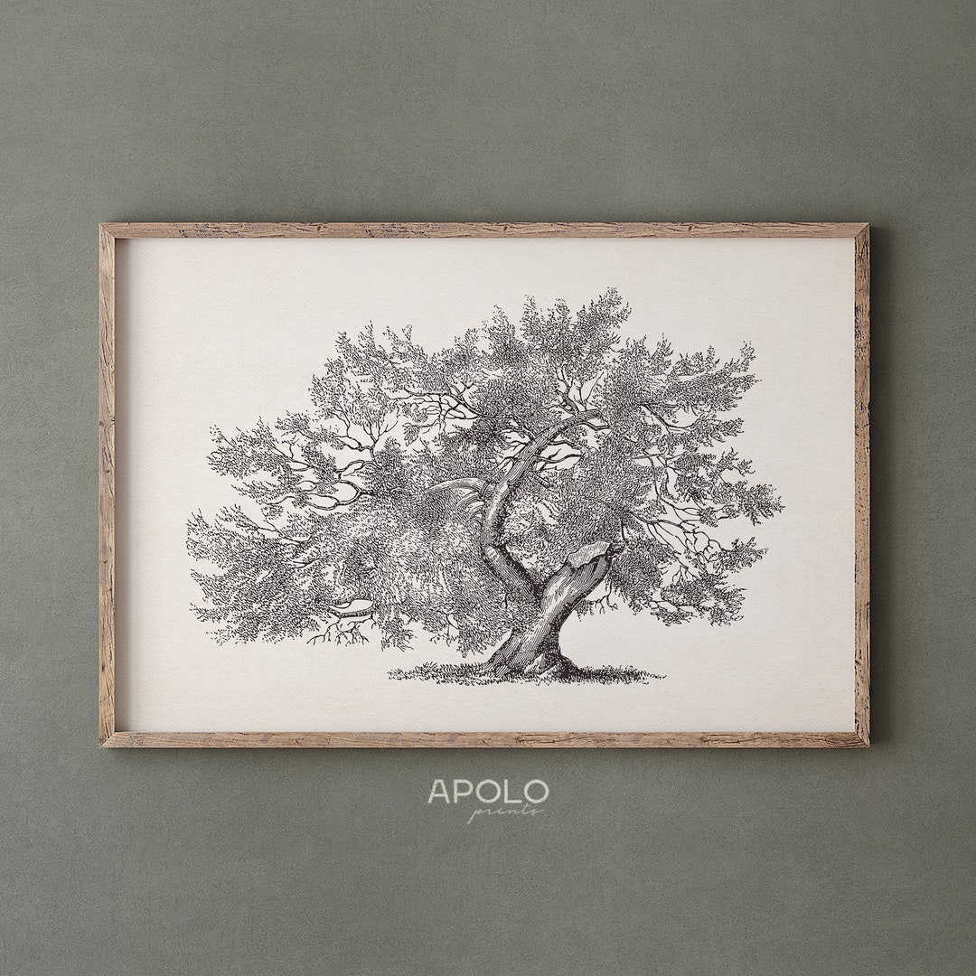 Broken Trunk Tree Drawing Printable Vintage Tree Etching - Etsy