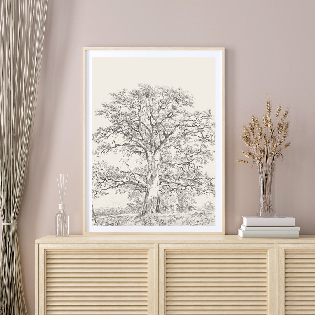 The Great Oak Tree Drawing Vintage Tree Sketch Enhanced - Etsy UK