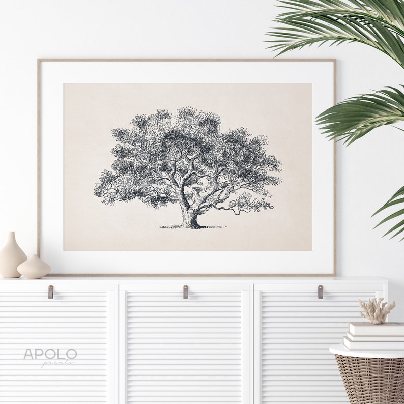 Oak Tree Drawing Print Printable Wall Art Vintage Tree - Etsy