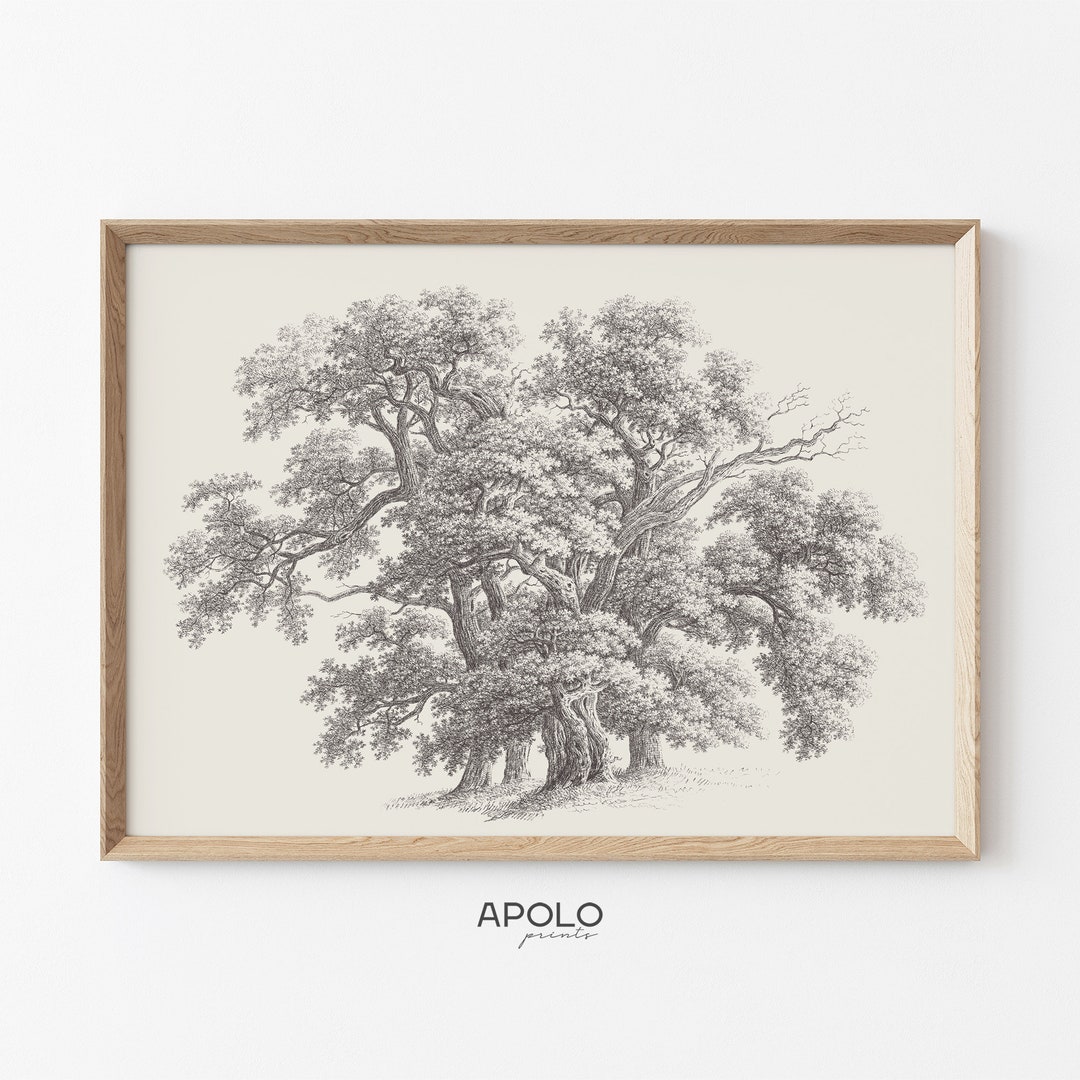 Oak Tree Sketch Print, Vintage Tree Group Drawing Enhanced, Printable ...