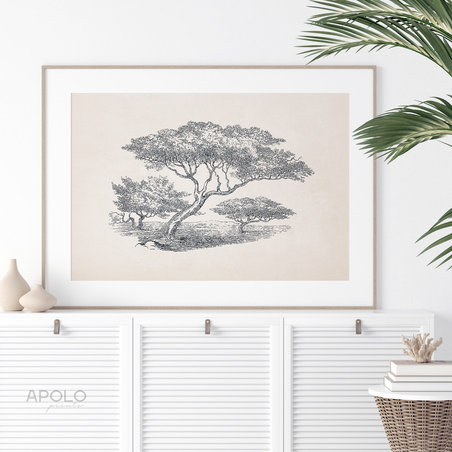 Printable Acacia Tree Drawing Vintage Tree Sketch Enhanced - Etsy