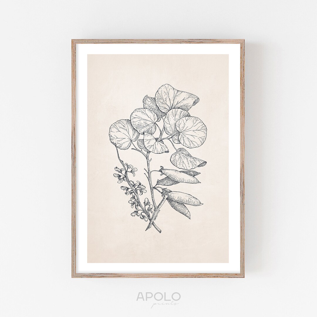 Western Redbud Art, Neutral Printable Art, Wildflower Digital Print ...