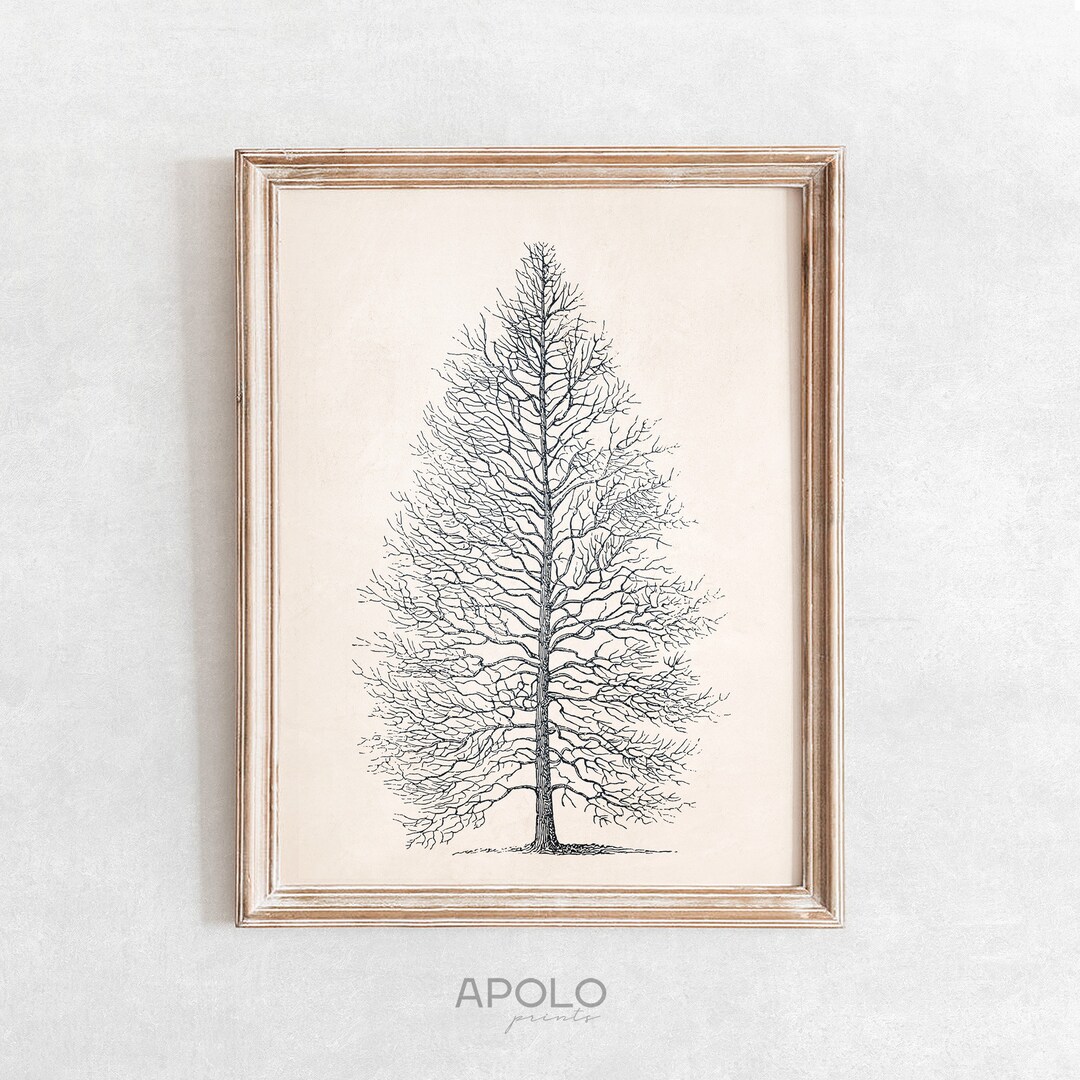 Winter Larch Tree Sketch Print, Vintage Tree Drawing Enhanced ...