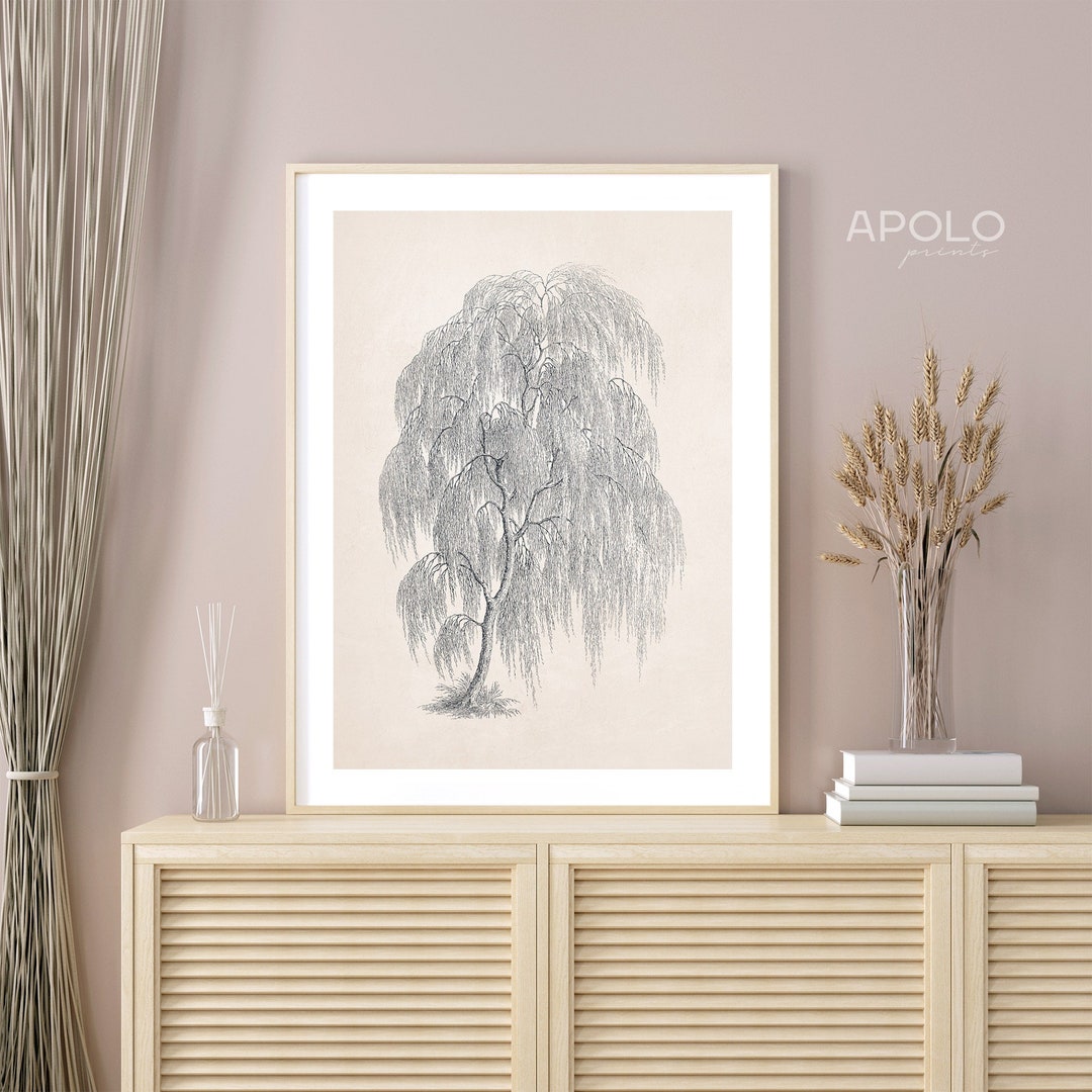 Tree Sketch Print, Printable Willow Tree Art, Vintage Drawing Enhanced ...