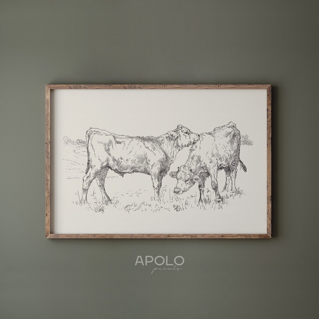 Cows Sketch Print, Farmhouse Wall Art, Vintage Drawing Enhanced ...