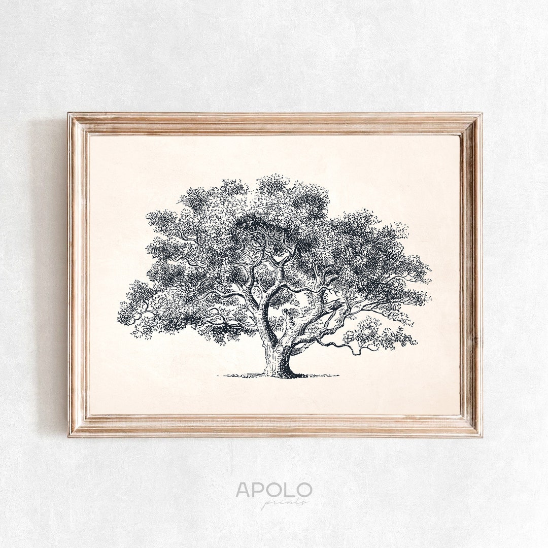 Oak Tree Drawing Print, Printable Wall Art, Vintage Tree Sketch ...