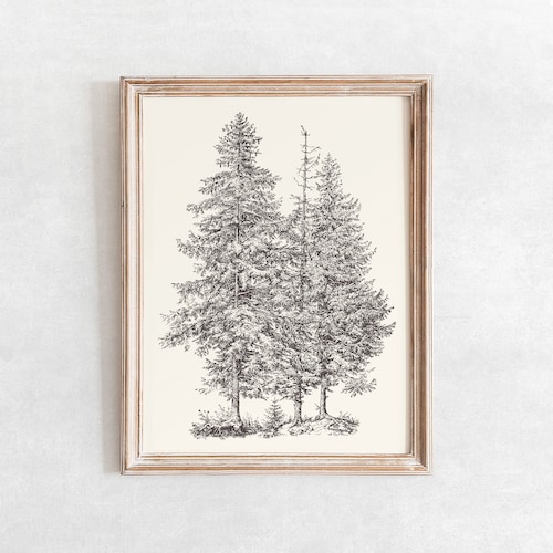 Neutral Tree Sketch Art Print Soft Nature Drawing Rustic - Etsy