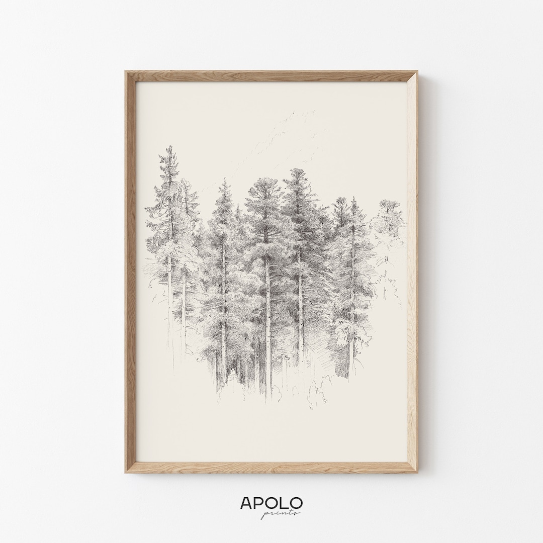 Pine Forest Sketch Print, Vintage Pine Tree Drawing Enhanced, Printable ...