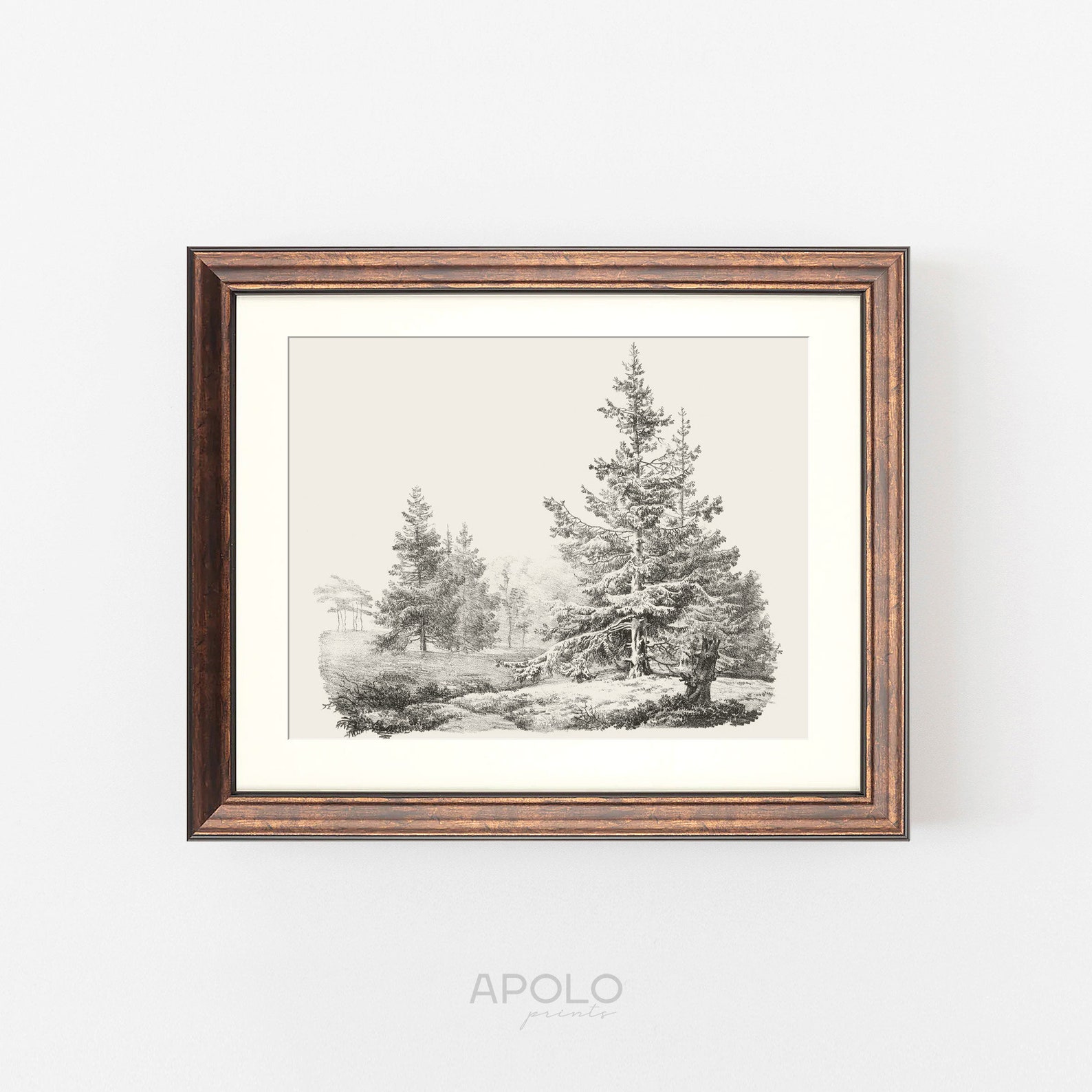 Hemlock Forest Sketch Print Vintage Farmhouse Drawing | Etsy