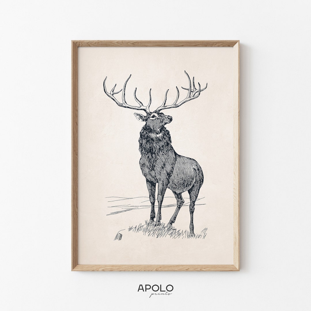Red Deer Sketch Print, Wildlife Printable Art, Vintage Drawing Enhanced ...