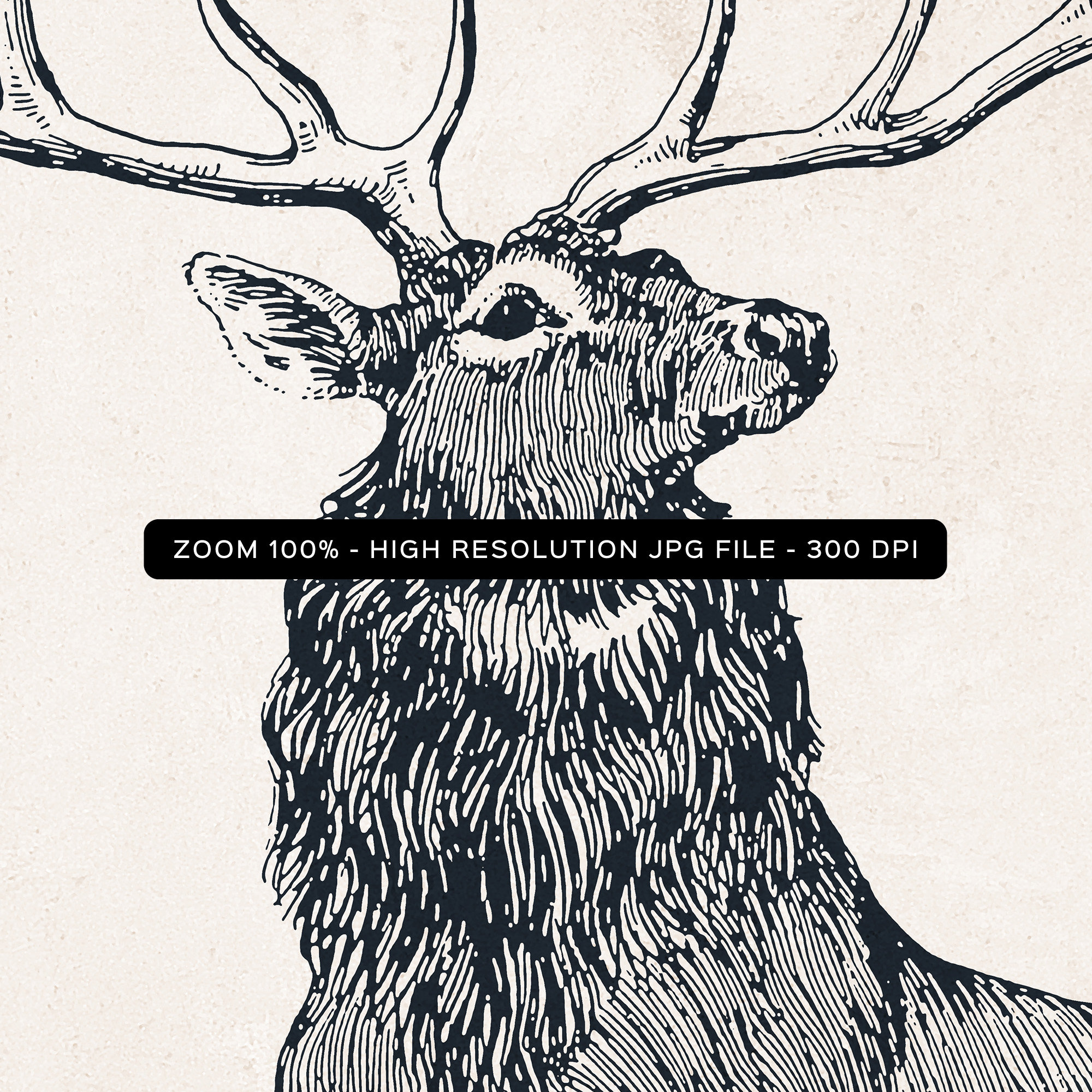 Red Deer Print Vintage Stag Sketch Antique Wildlife Drawing - Etsy