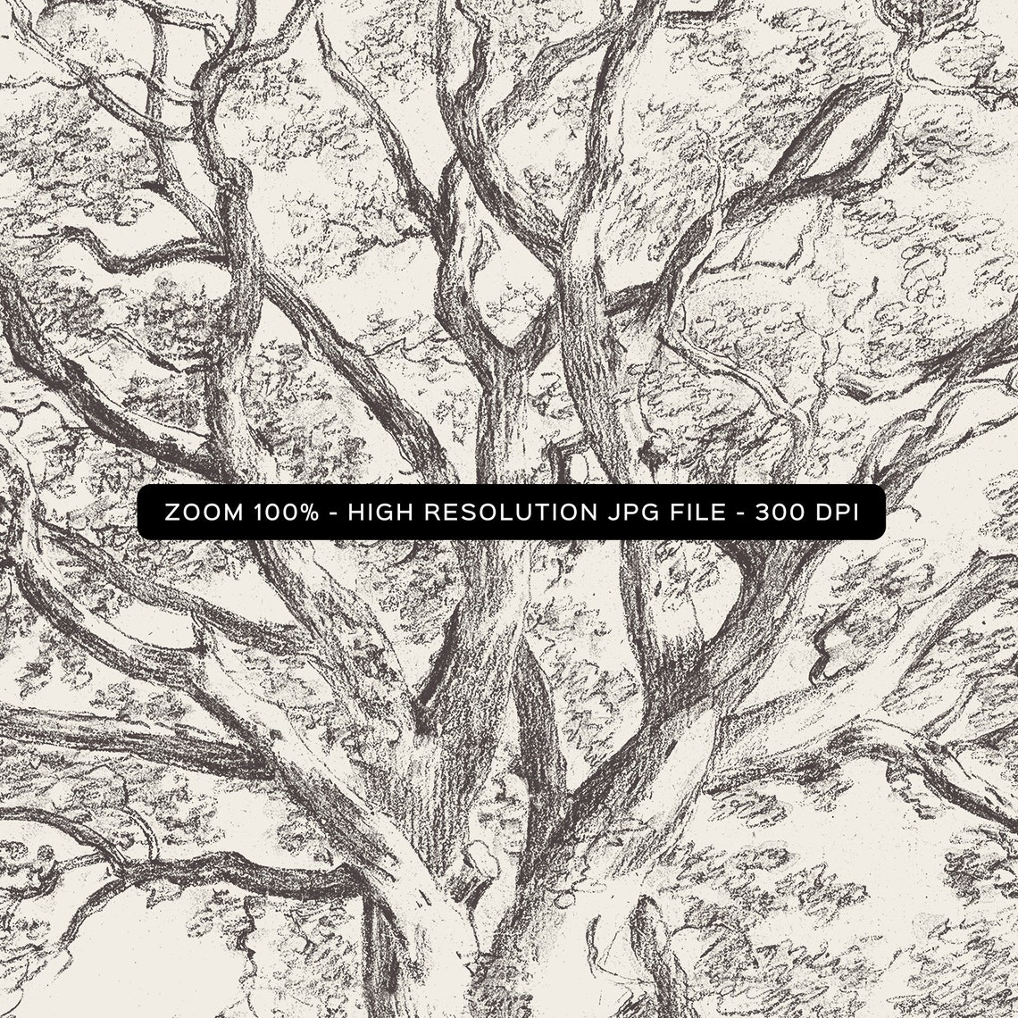 The Great Oak Tree Drawing Vintage Tree Sketch Enhanced - Etsy UK