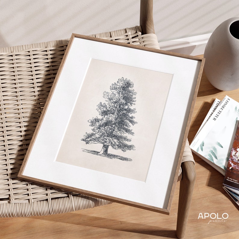 Red Spruce Tree Sketch Print, Printable Tree Art, Vintage Tree Drawing ...
