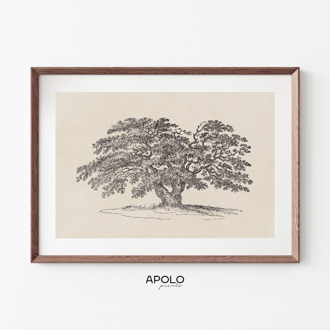 Wide Oak Tree Sketch Print, Printable Vintage Tree Drawing Enhanced ...