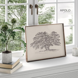Wide Oak Tree Sketch Print, Printable Vintage Tree Drawing Enhanced ...