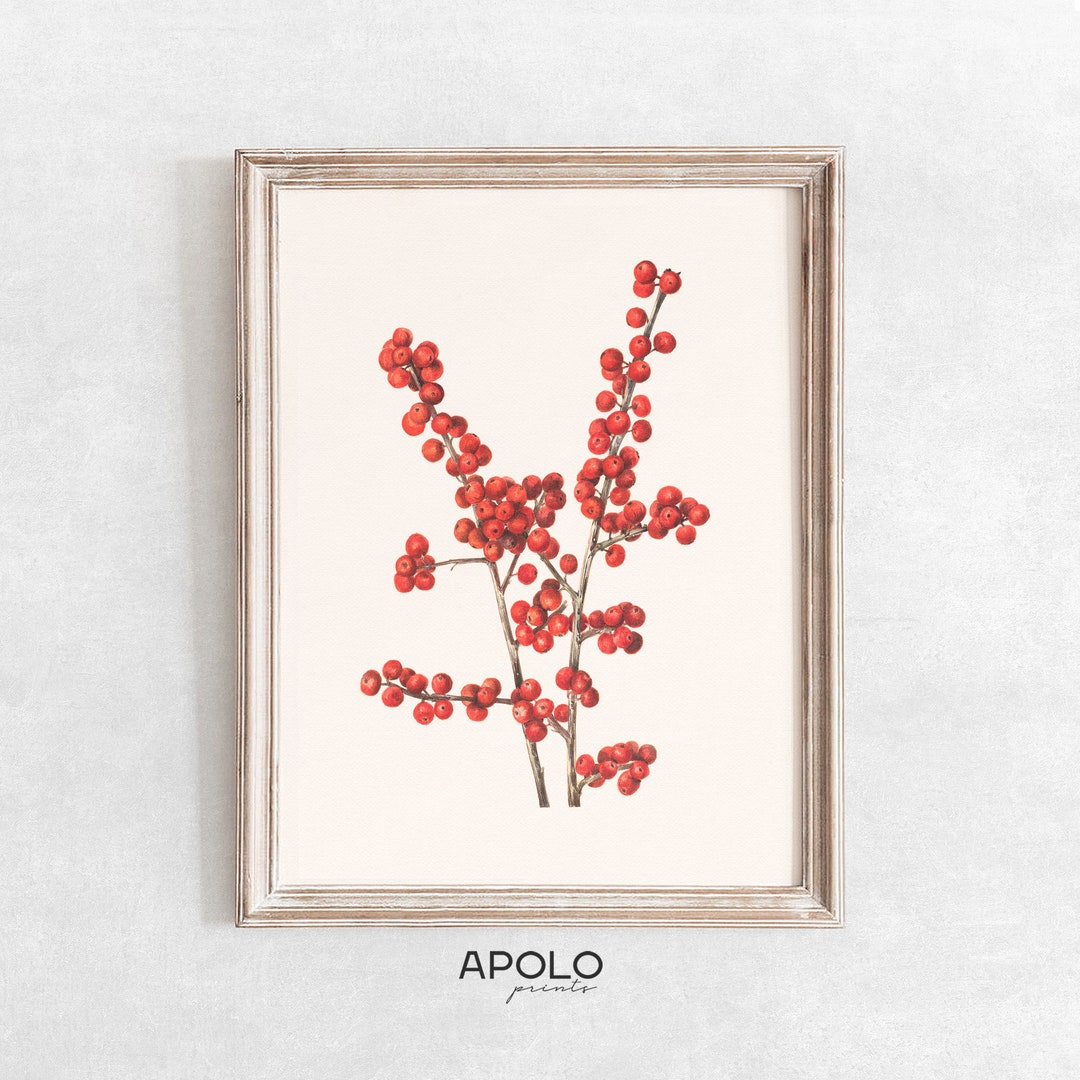 Winterberry Print, Printable Wall Art, Holiday Decor, Vintage ...