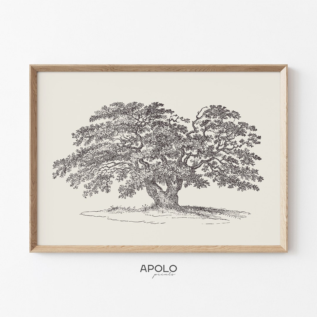 Wide Oak Tree Sketch Print, Printable Vintage Tree Drawing Enhanced ...
