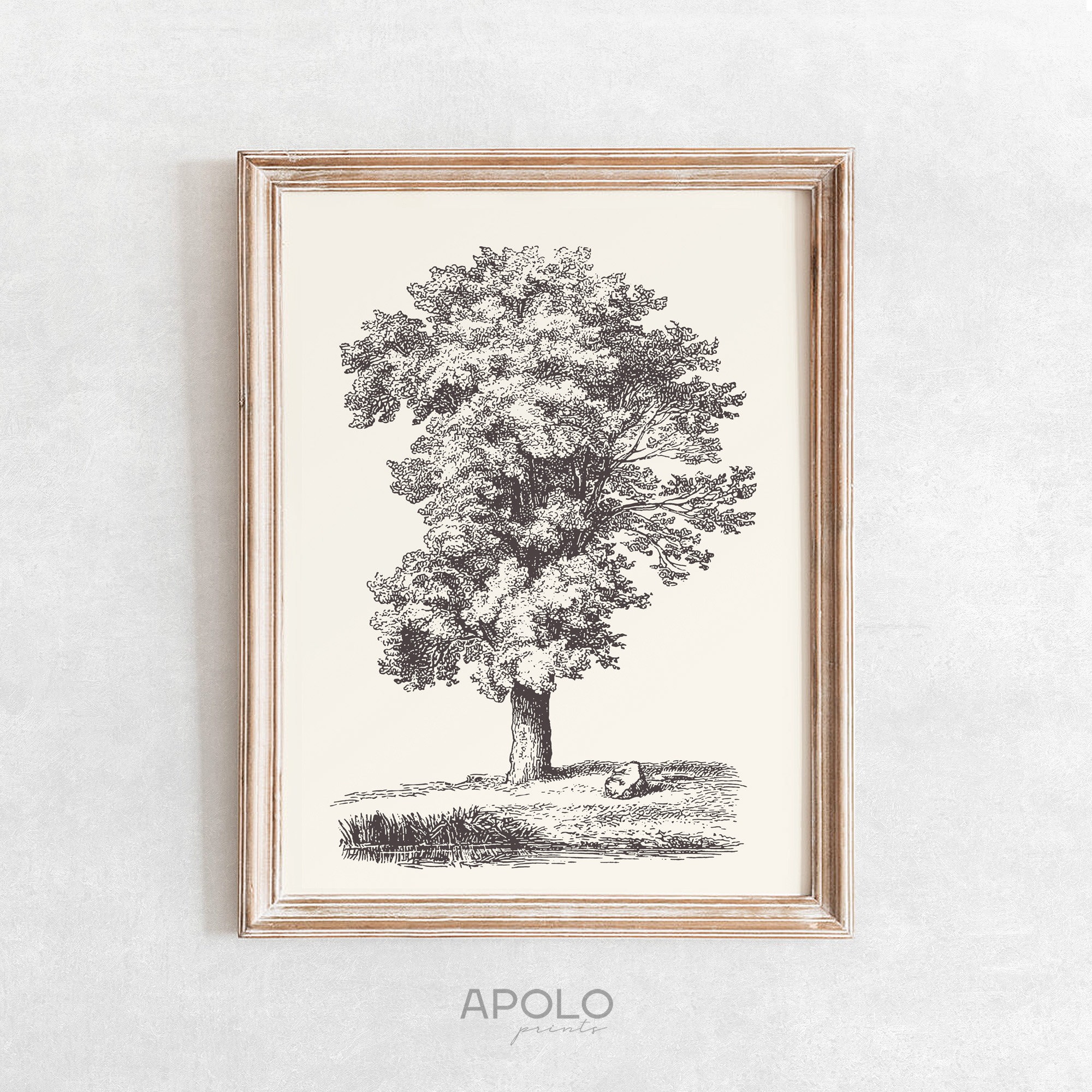 Linden Tree Drawing Vintage Sketch Enhanced Printable Tree - Etsy