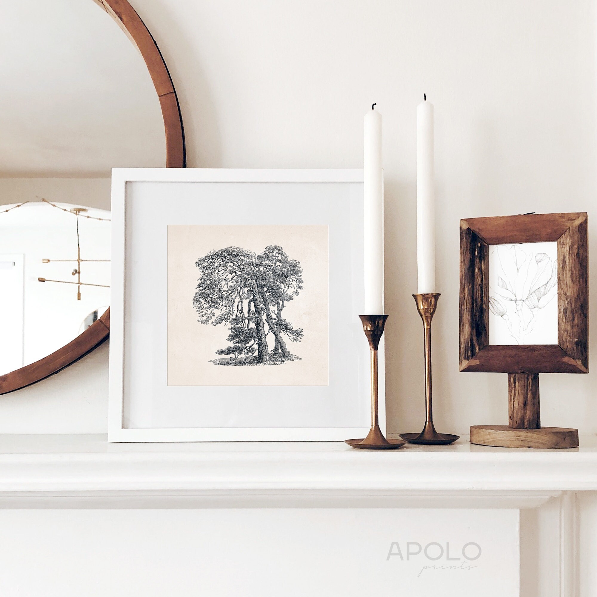 Ancient Elm Tree Sketch Print Printable Wall Art Vintage - Etsy