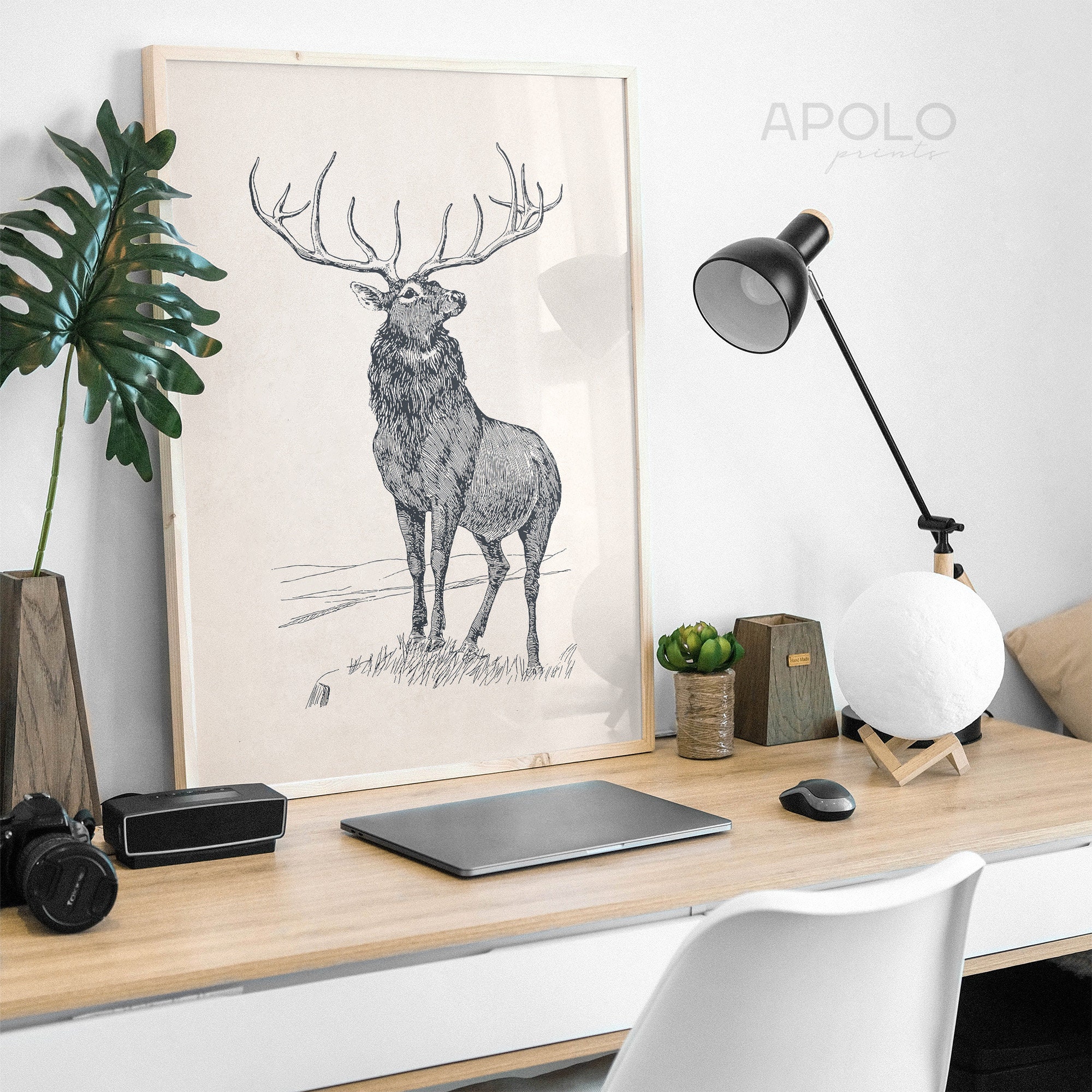 Red Deer Print Vintage Stag Sketch Antique Wildlife Drawing - Etsy