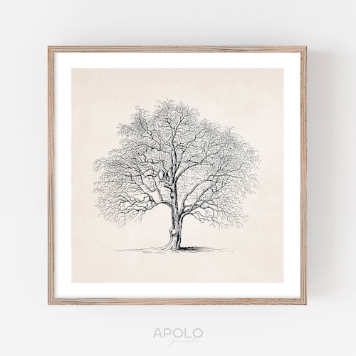 Printable Square Tree Sketch Tree Drawing Art Print Vintage - Etsy