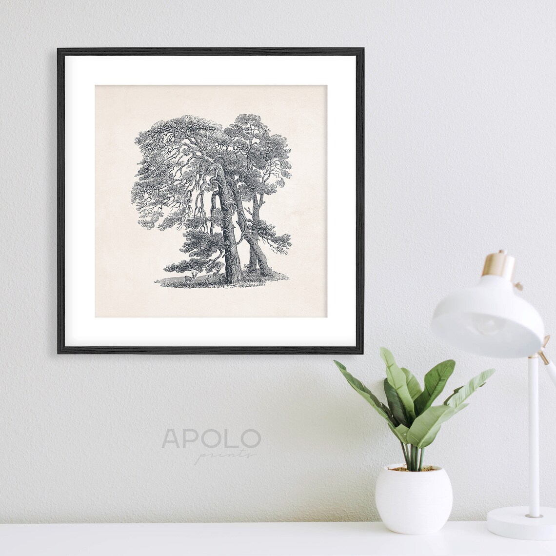 Ancient Elm Tree Sketch Print Printable Wall Art Vintage - Etsy