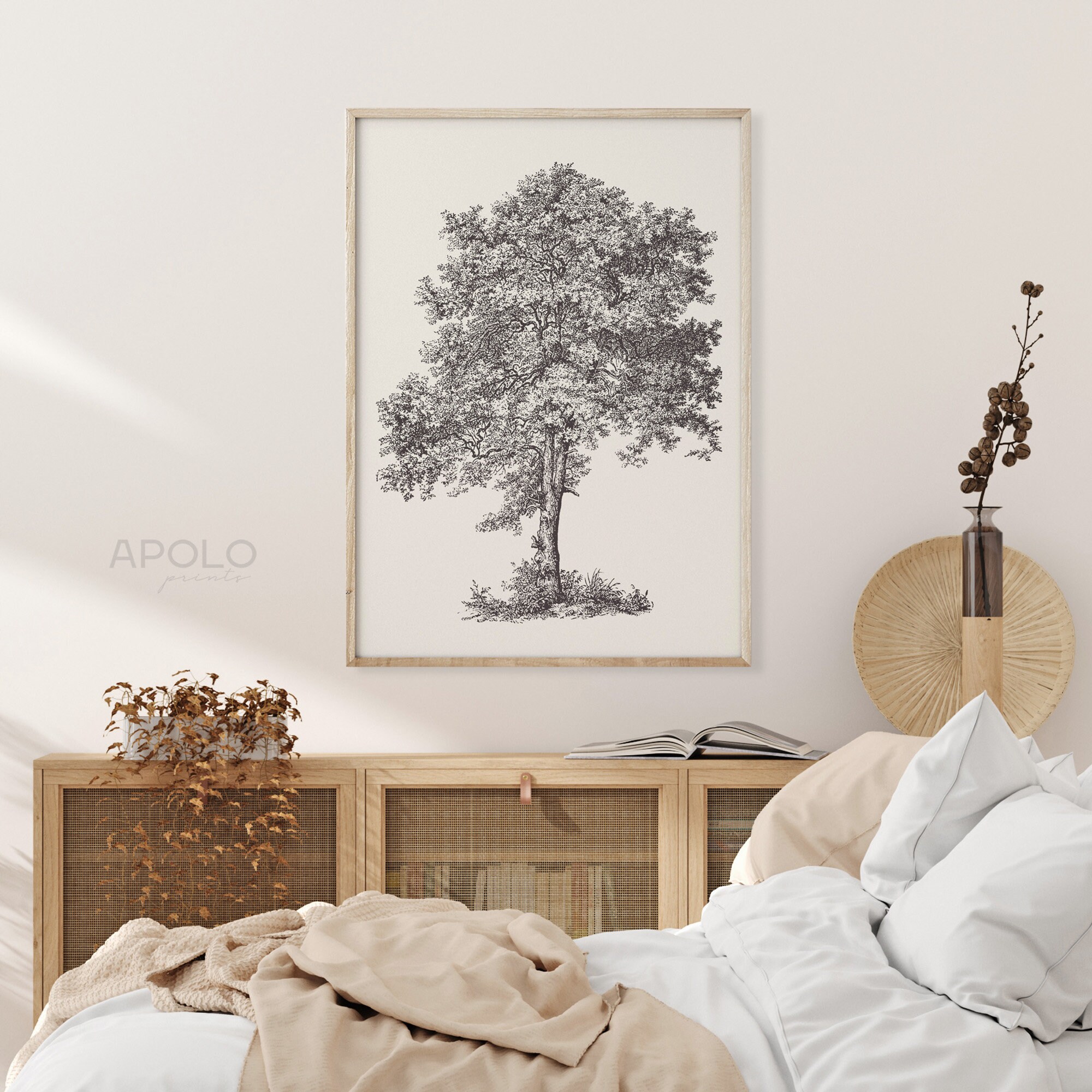 Sycamore Maple Tree Sketch Print Vintage Farmhouse Drawing - Etsy