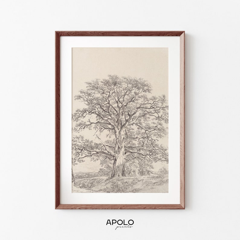 Great Oak Tree Sketch, Printable Tree Art, Vintage Drawing Enhanced ...