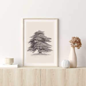Cedar of Lebanon Tree Sketch Print, Vintage Farmhouse Drawing Enhanced ...