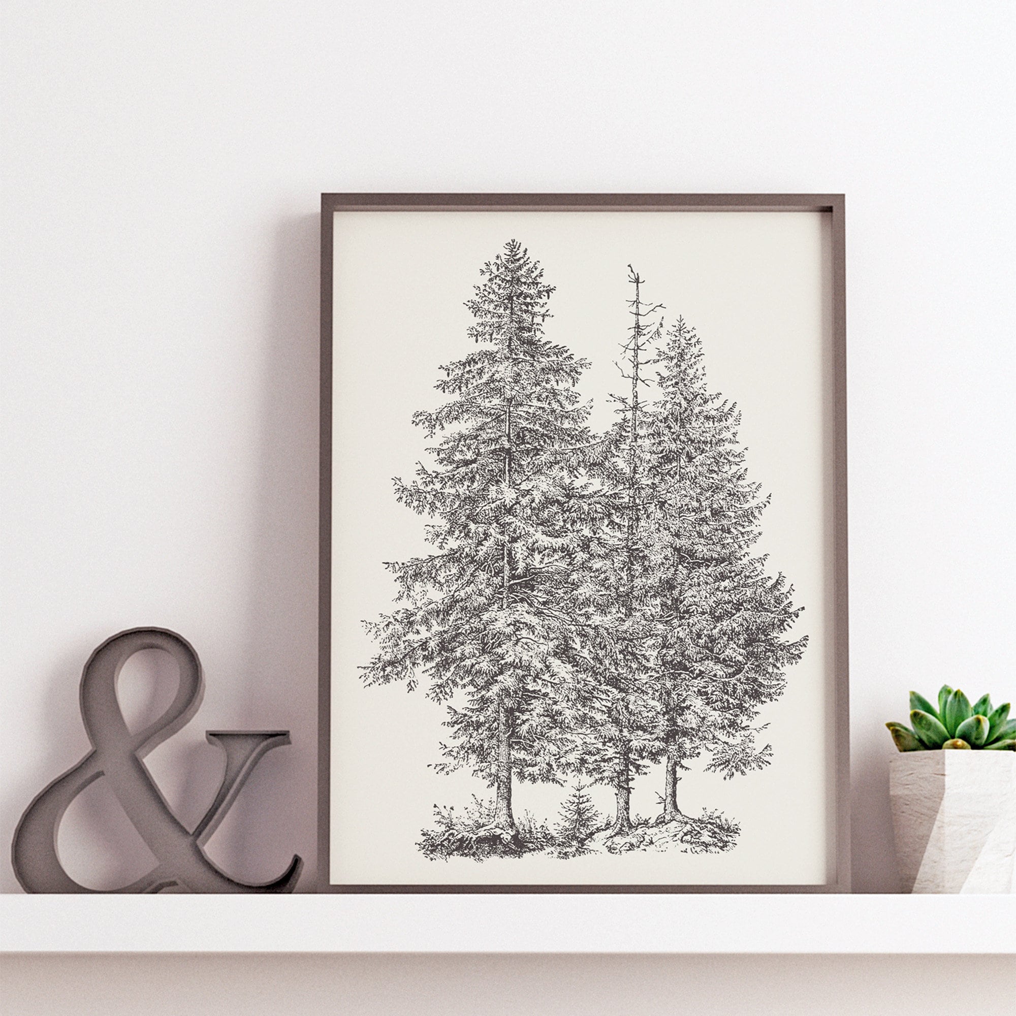Norway Spruce Tree Sketch Print Vintage Rustic Drawing | Etsy