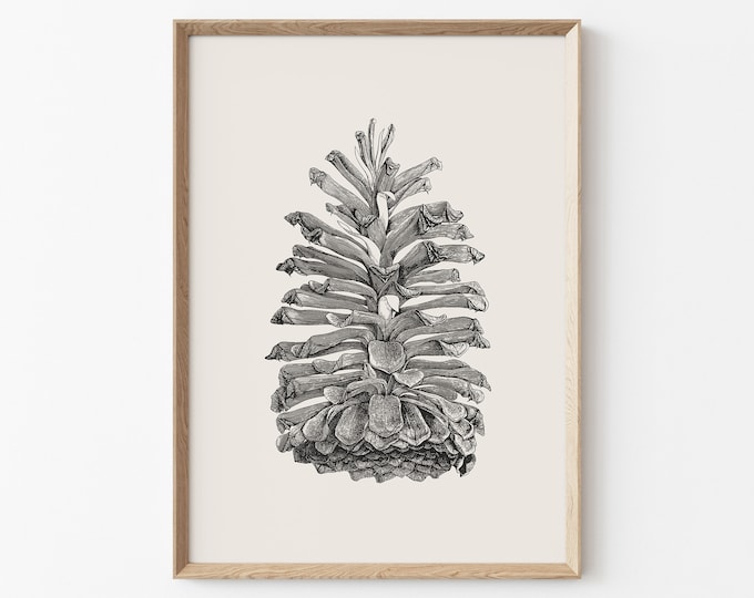 Pine Cone Art Print - Abstract Watercolor Pinecone Painting - Wall ...