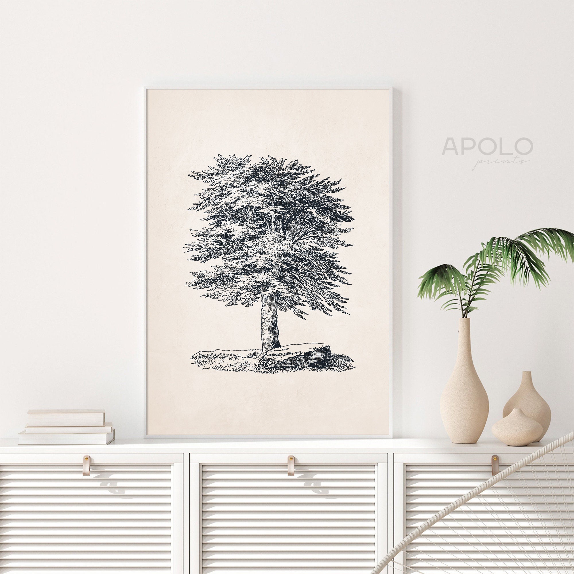 Beech Tree Print Sketch 06 Vintage Drawing Enhanced | Etsy