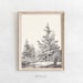 Hemlock Forest Print, Vintage Tree Drawing Enhanced, Printable Tree Art ...