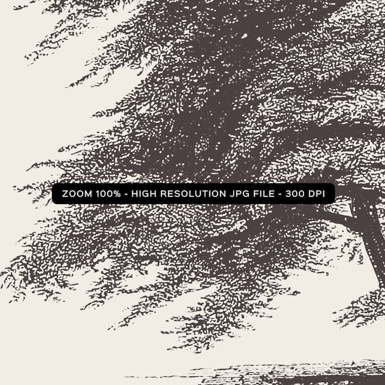 Cedar of Lebanon Tree Sketch Print Vintage Farmhouse Drawing | Etsy