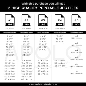 Ray Fern Sketch Print, Printable Botanical Art, Vintage Charcoal ...