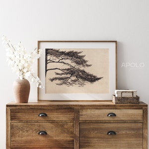 Pine Tree Branch Print, Vintage Tree Drawing Enhanced, Printable Tree ...