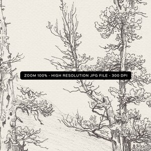 Pine Forest Sketch Print No. 2, Vintage Pine Tree Drawing Enhanced ...