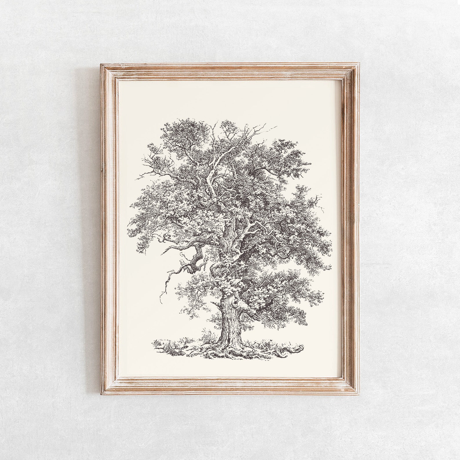 English Oak Tree Sketch Print, Vintage Neutral Drawing Enhanced ...