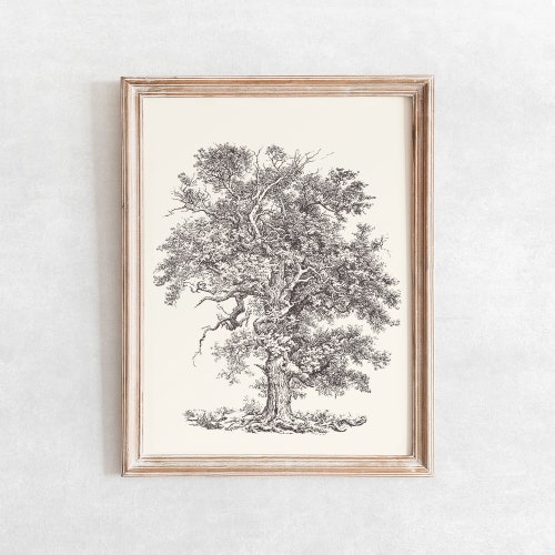 Neutral Tree Sketch Art Print Soft Nature Drawing Rustic - Etsy