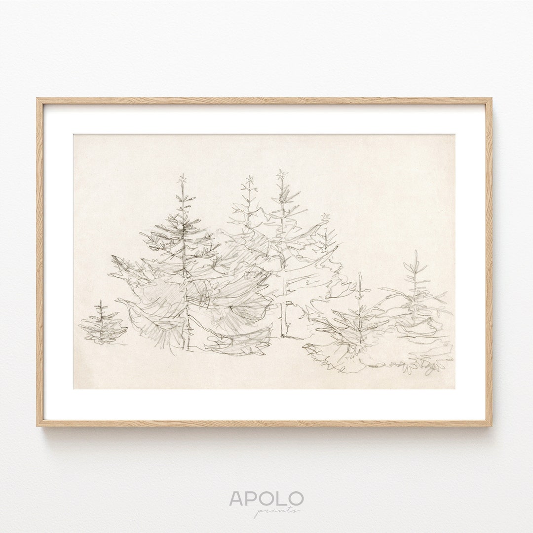 Pine Forest Drawing, Printable Pine Tree Print, Vintage Tree Drawing ...