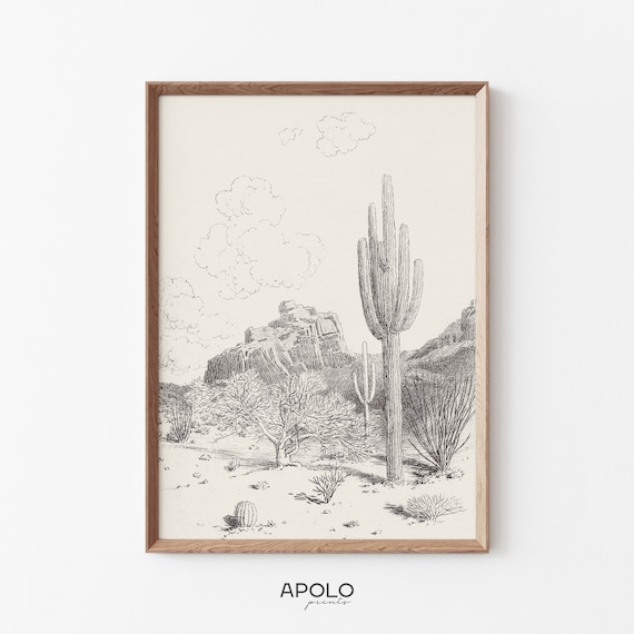Cactus Desert Landscape Drawing
